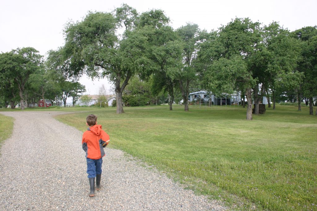 Welcome to the Lazy Oak Ranch | Lazy Oak Ranch